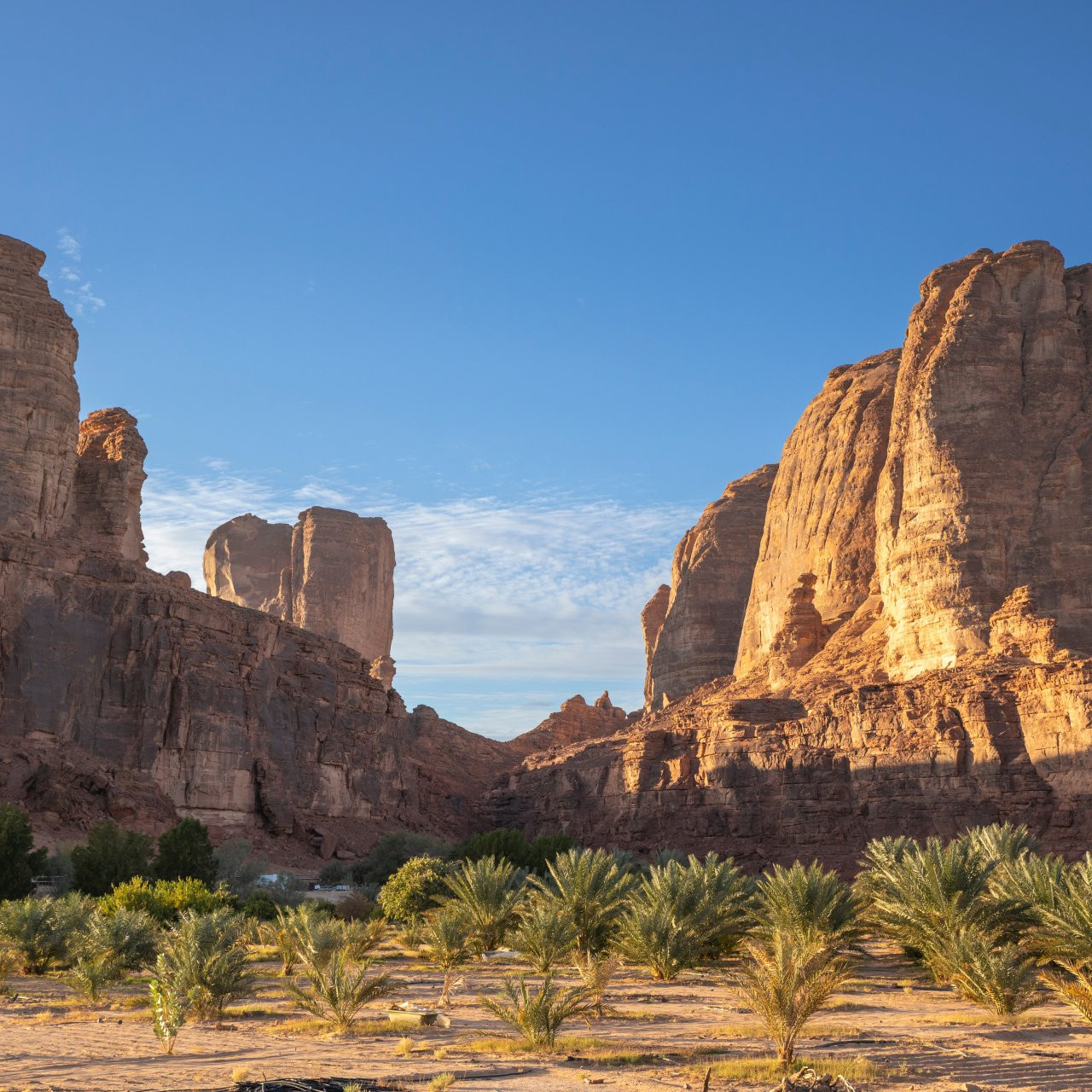 Saudi-Arabien – ARR Reisen | Natur.Kultur.Foto