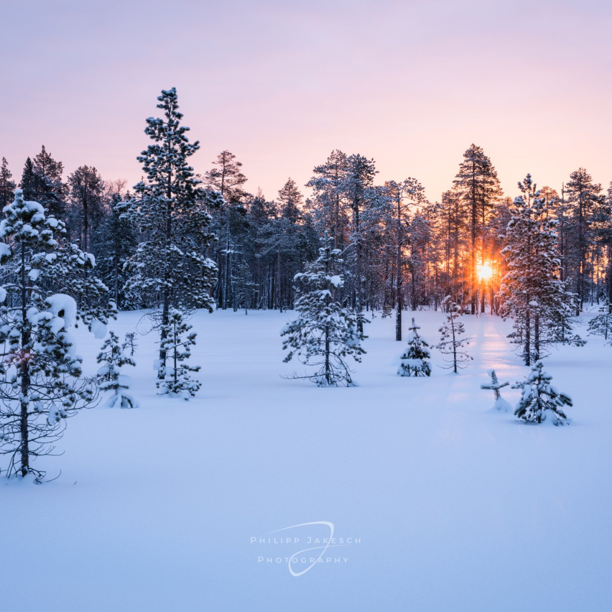 Fotoreise Schweden im Winter – ARR Reisen | Natur.Kultur.Foto